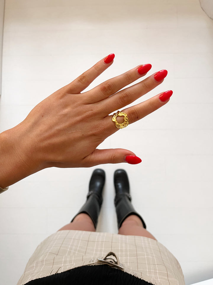 SCANDIVV – scandivv