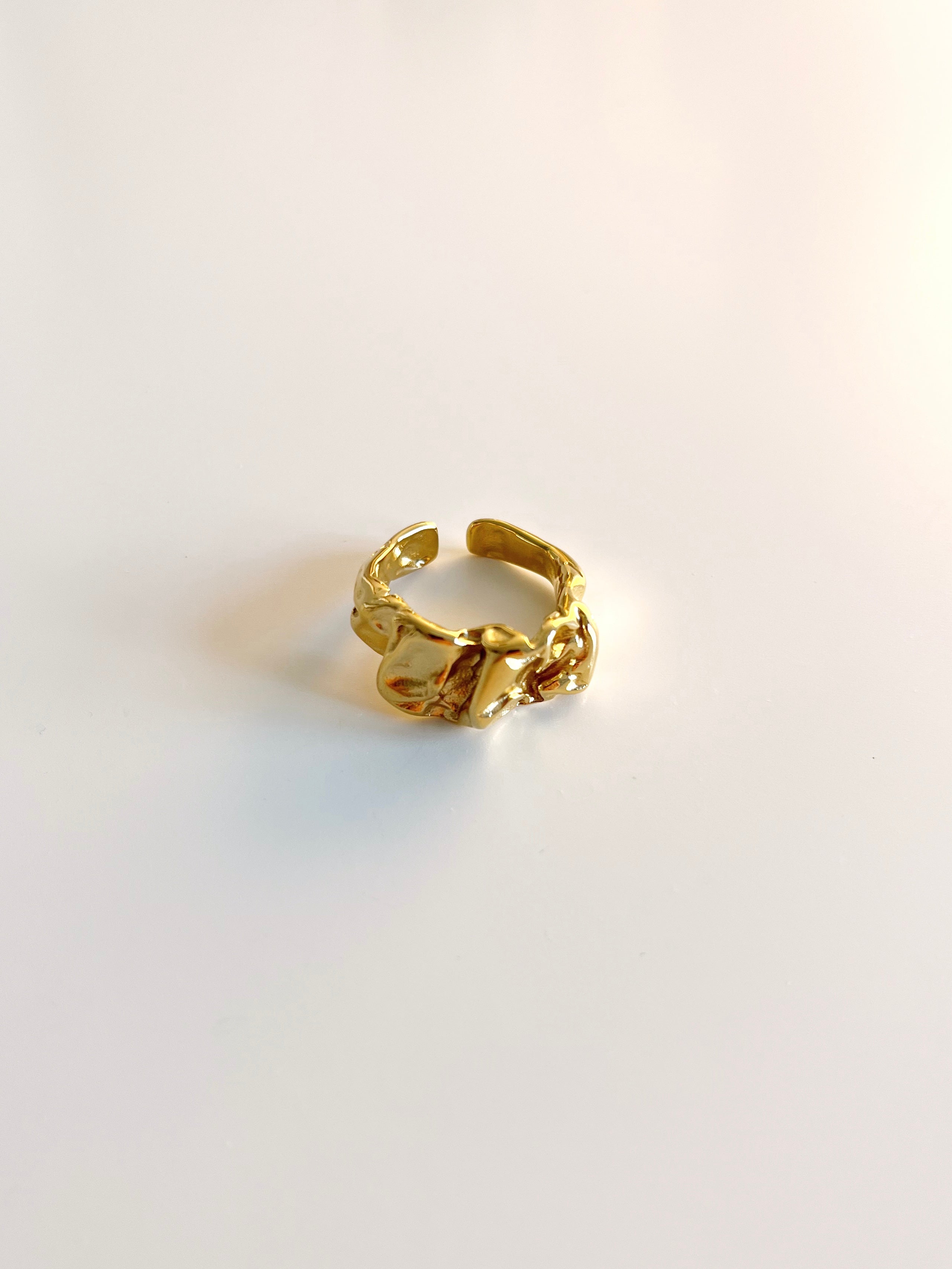 ISAK RING – scandivv